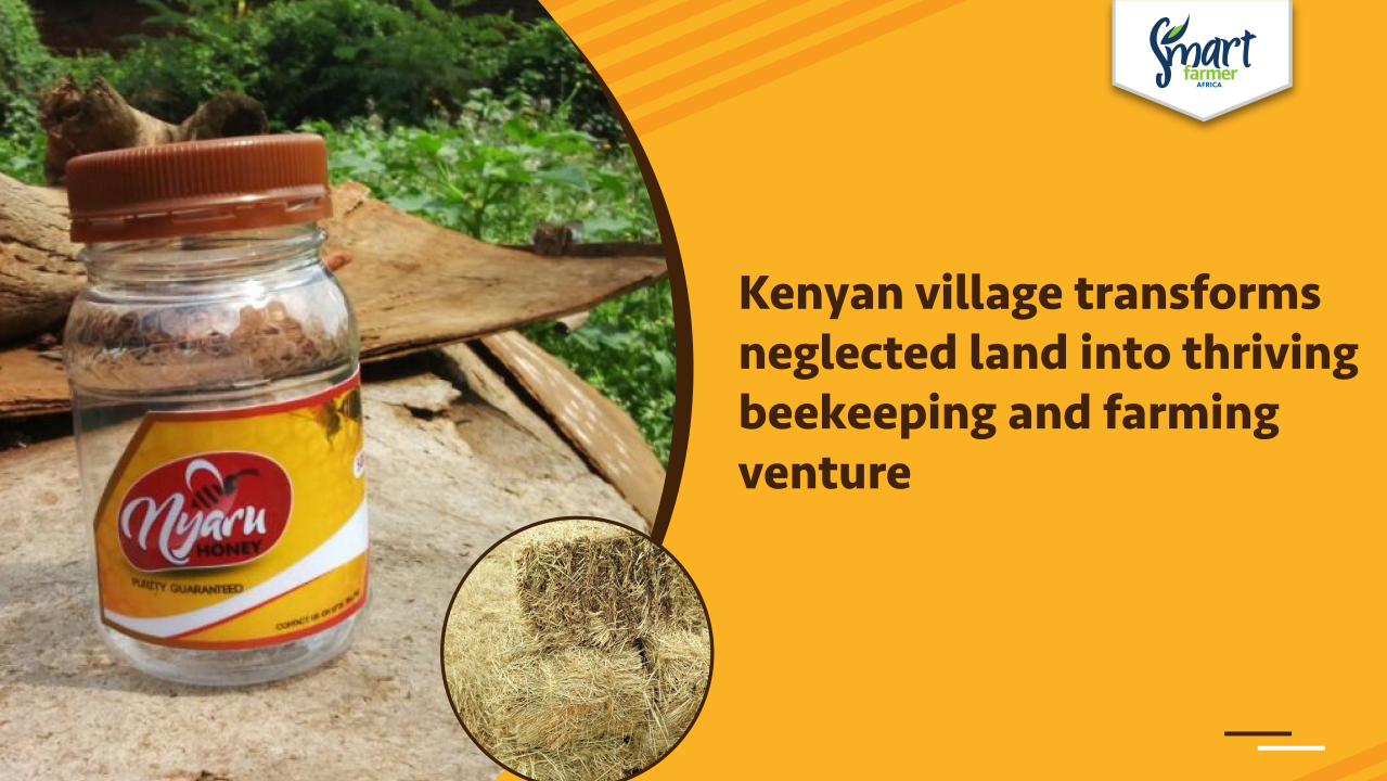 Kenyan village transforms neglected land into thriving beekeeping and ... Kenyan village transforms neglected land into thriving beekeeping and ...