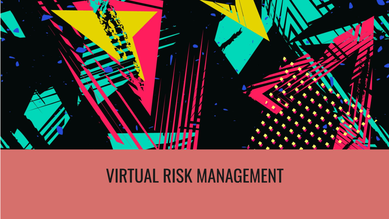 Virtual Risk Management Virtual Risk Management