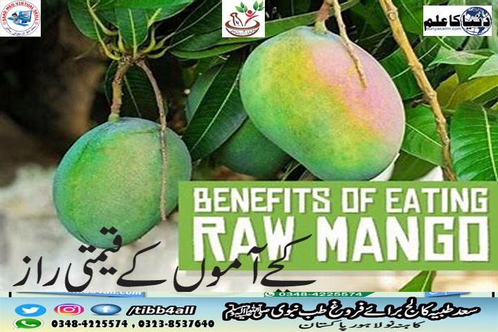ten health benefits of raw mangoes ten health benefits of raw mangoes