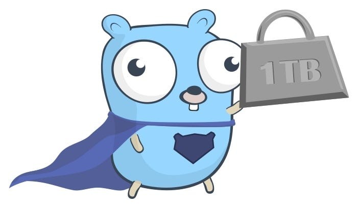 Formatted and File I/O in Go Formatted and File I/O in Go