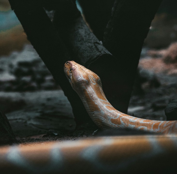 Python - Error Types Python - Error Types