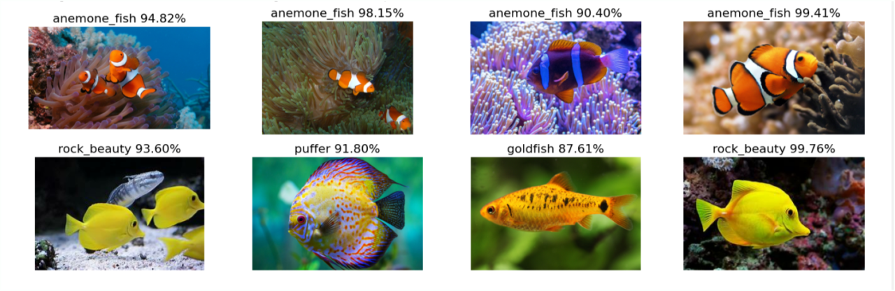 #11 Finding Nemo: Exploring pre-trained Keras models #11 Finding Nemo: Exploring pre-trained Keras models