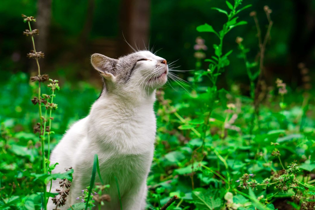 7 Bad Code Smells In Typescript 7 Bad Code Smells In Typescript
