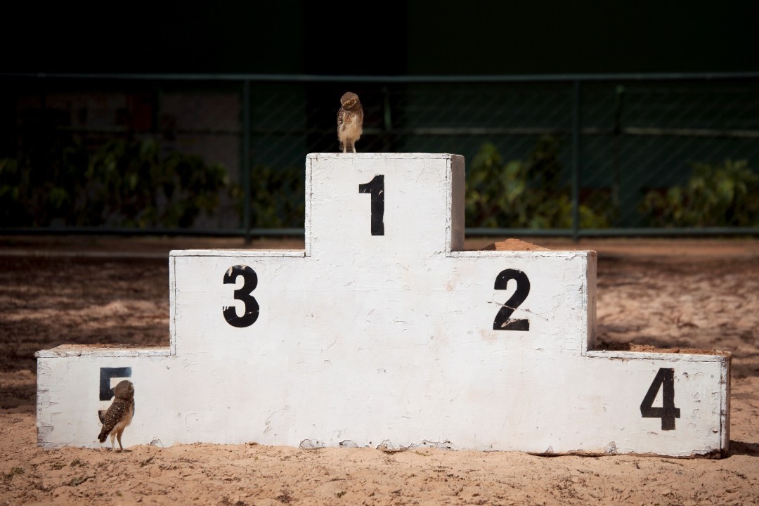 Quem Ganhou e Quem Perdeu? Quem Ganhou e Quem Perdeu?