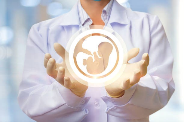 Unveiling IVF Expenses in Cyprus: A Detailed Exploration Unveiling IVF Expenses in Cyprus: A Detailed Exploration
