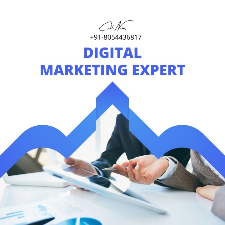 Professional SEO Services Company in the VISAKHAPATNAM Professional SEO Services Company in the VISAKHAPATNAM