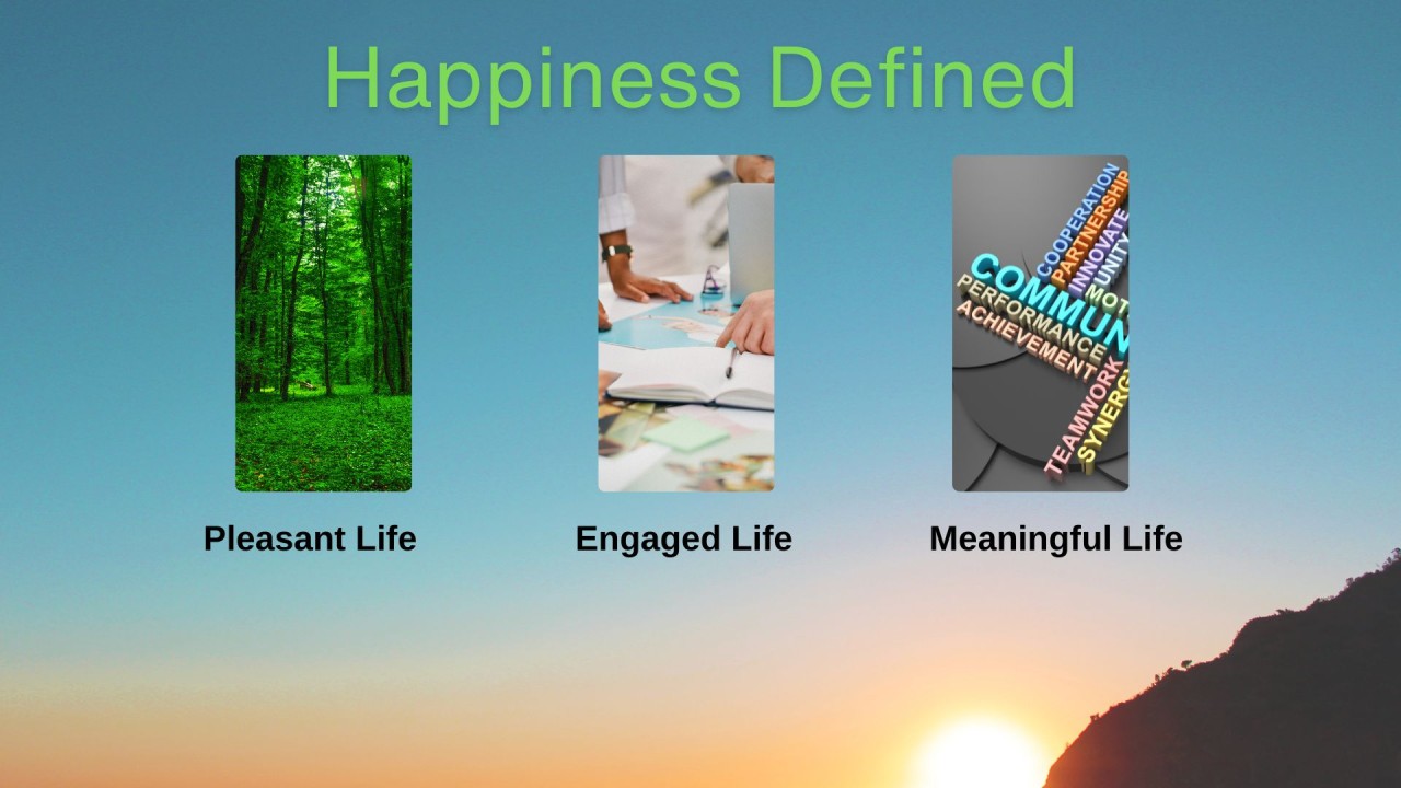 Happiness Defined Happiness Defined