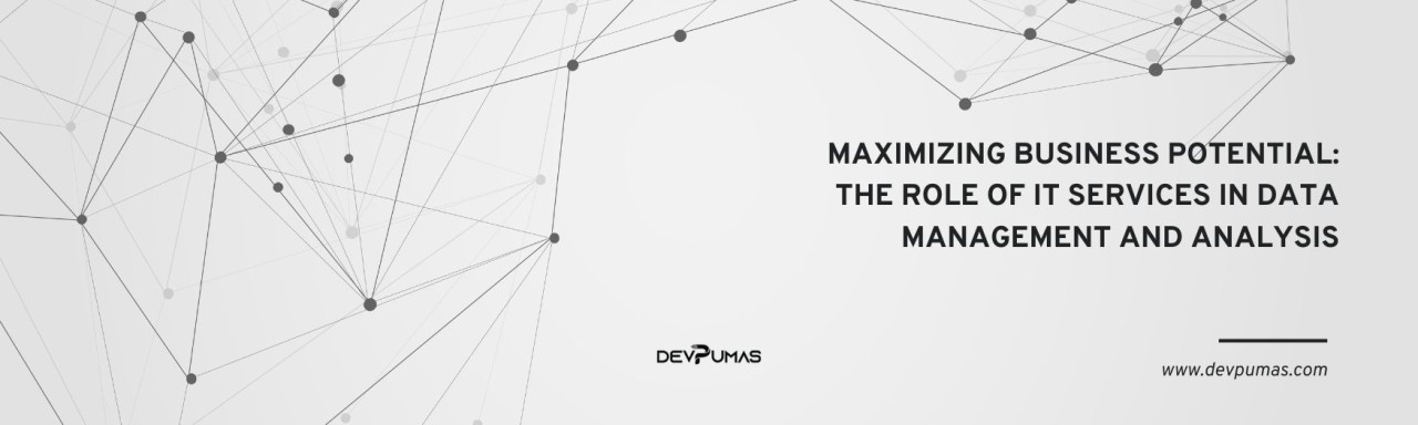 Maximizing Business Potential: The Role of IT Services in Data ... Maximizing Business Potential: The Role of IT Services in Data ...