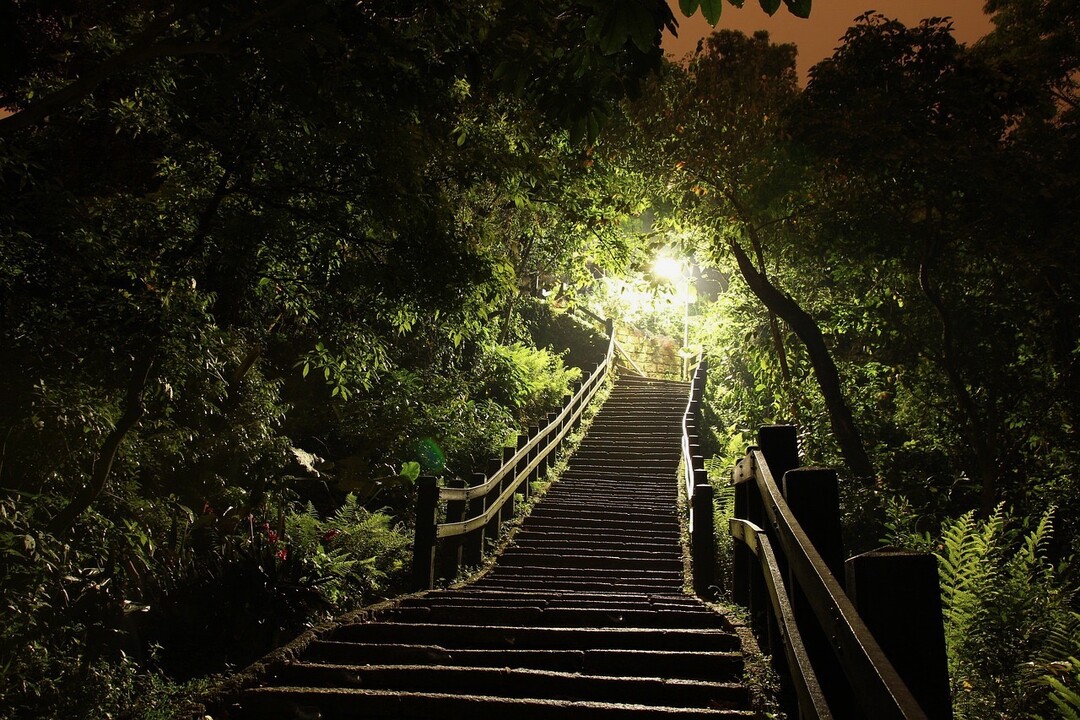 Are You Climbing The Wrong Ladder? Are You Climbing The Wrong Ladder?