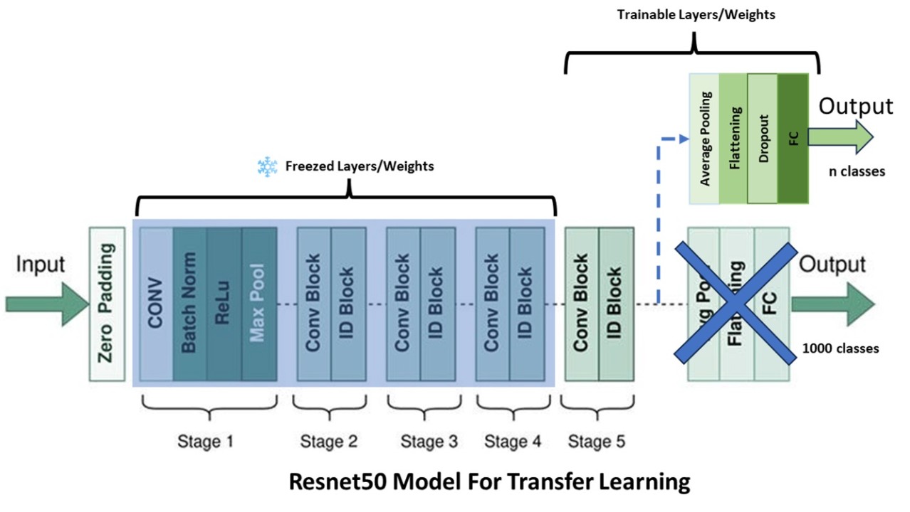 Efficient Image Classification Recipes: Transfer Learning with ResNet50 ... Efficient Image Classification Recipes: Transfer Learning with ResNet50 ...