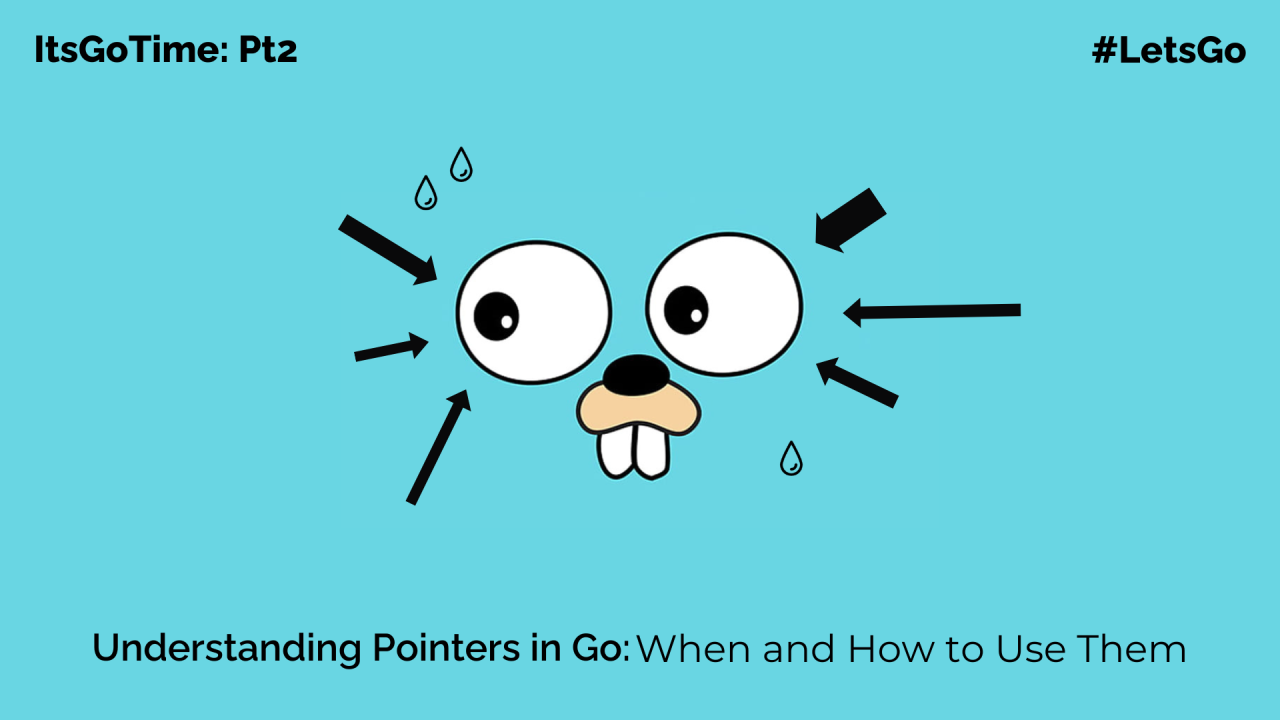 how to use pointers in go how to use pointers in go
