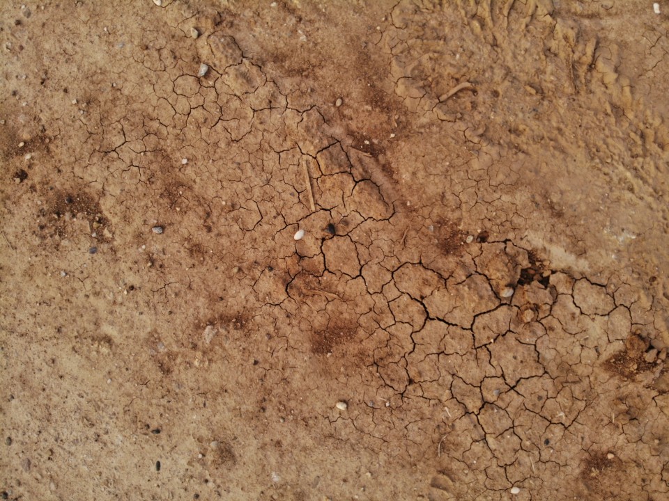 Sustainable Policies for Reversing the Impacts of Land Degradation Sustainable Policies for Reversing the Impacts of Land Degradation
