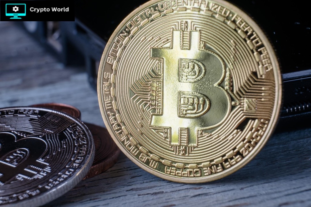 Wallets for Beginners: Setting Up Your First Wallet Wallets for Beginners: Setting Up Your First Wallet