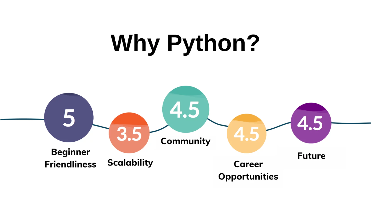 Why learn Python? Why learn Python?