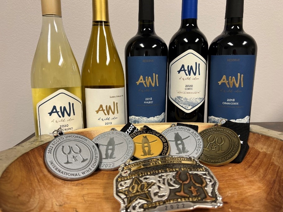 A WILD IDEA: ACCOUNTANT TURNS AWARD-WINNING WINEMAKER IN RETIREMENT A WILD IDEA: ACCOUNTANT TURNS AWARD-WINNING WINEMAKER IN RETIREMENT