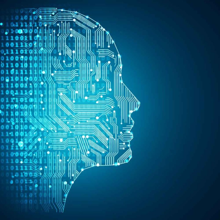 The Implications of Human Identity Chips The Implications of Human Identity Chips