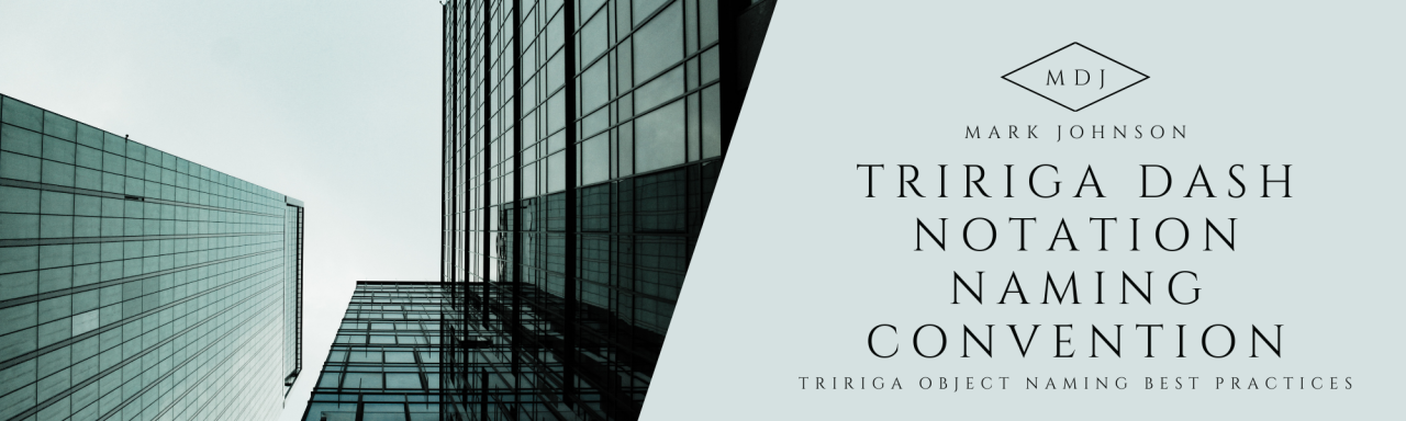 TRIRIGA Object Naming Best Practices TRIRIGA Object Naming Best Practices