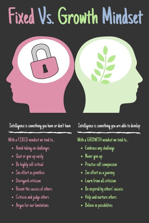 Fixed Vs Growth Mindsets Fixed Vs Growth Mindsets