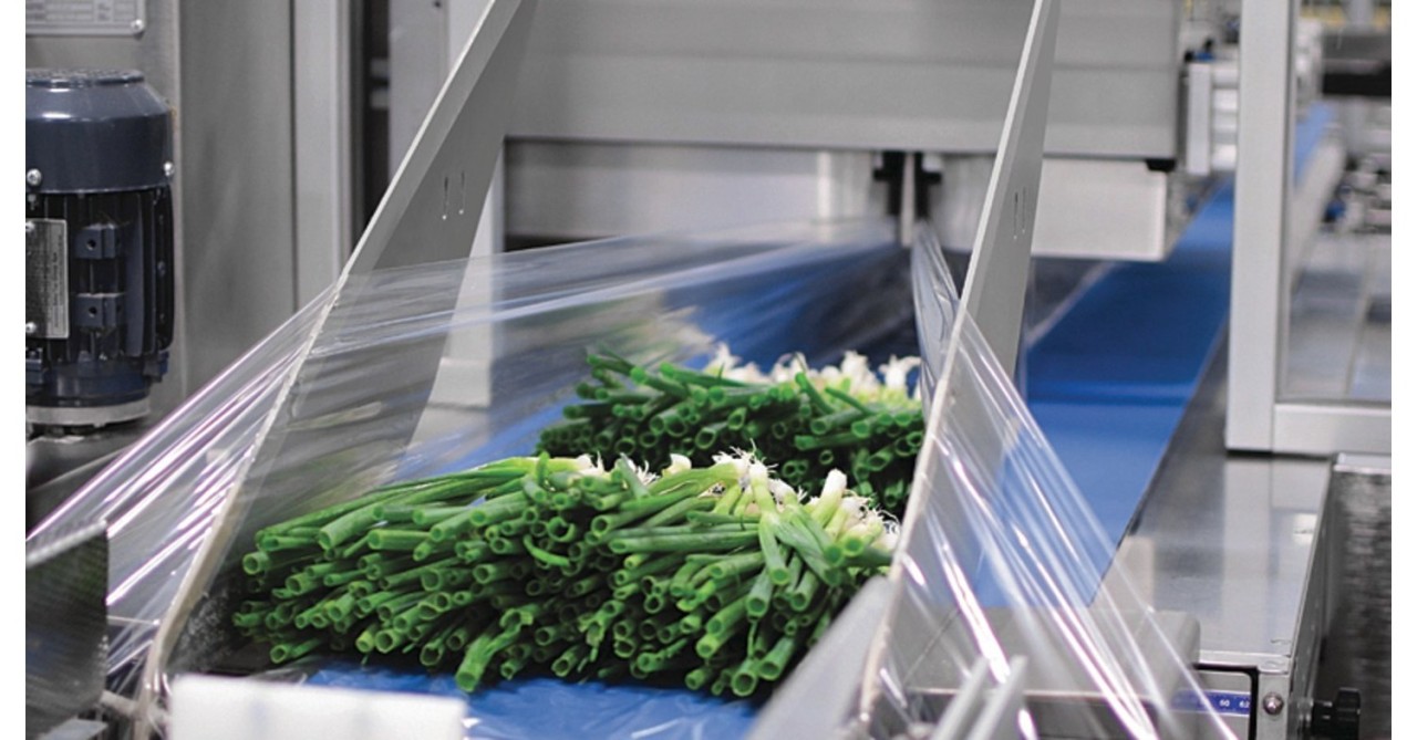 Revolutionizing Industries: Nanotechnology Packaging Solutions Revolutionizing Industries: Nanotechnology Packaging Solutions