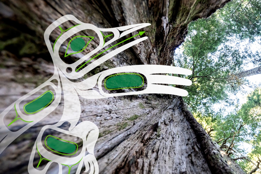 TELUS launches fourth annual Indigenous Reconciliation & Connectivity ... TELUS launches fourth annual Indigenous Reconciliation & Connectivity ...
