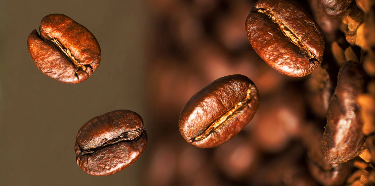 Exquisite Origins: Discovering Amazing Coffee's Specialty Offerings Exquisite Origins: Discovering Amazing Coffee's Specialty Offerings