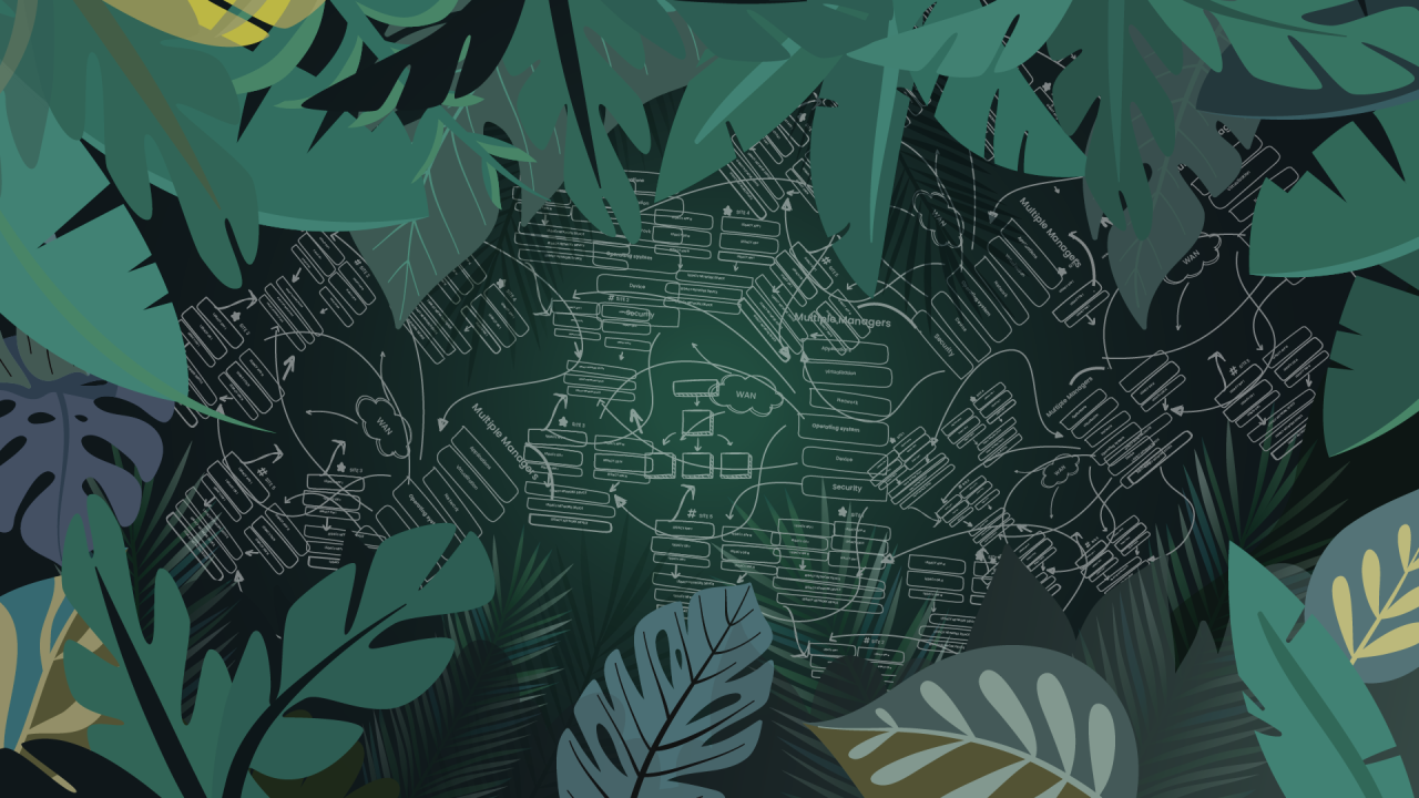 Taming the Edge Jungle: Simplifying Complexity in Distributed Networks Taming the Edge Jungle: Simplifying Complexity in Distributed Networks