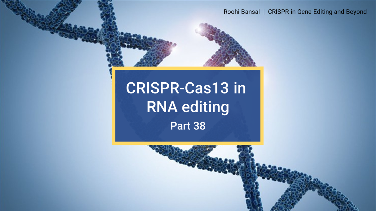 CRISPR-Cas13 in RNA editing (Part 38- CRISPR in Gene Editing and Beyond) CRISPR-Cas13 in RNA editing (Part 38- CRISPR in Gene Editing and Beyond)