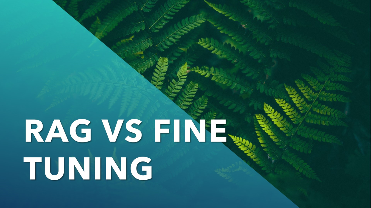 RAG vs Fine Tuning RAG vs Fine Tuning