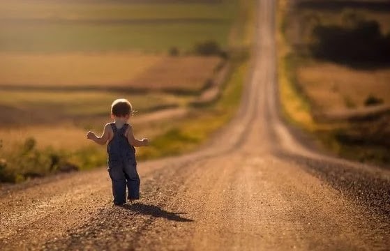 O caminho se faz ao caminhar O caminho se faz ao caminhar