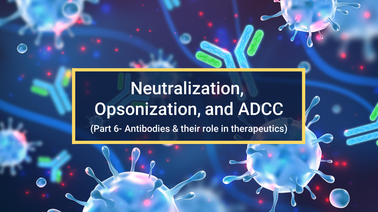 Effector functions of Antibodies: Neutralization, Opsonization, and ... Effector functions of Antibodies: Neutralization, Opsonization, and ...