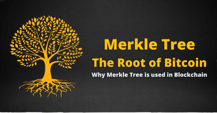 What is Merkle Tree? What is Merkle Tree?