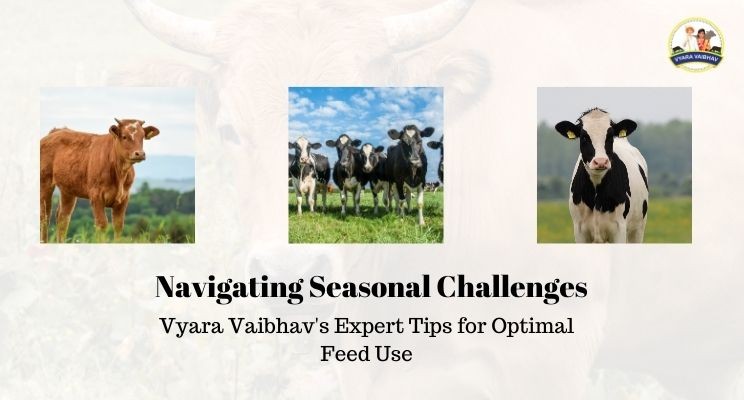 Navigating Seasonal Challenges: Vyara Vaibhav's Expert Tips for Optimal ... Navigating Seasonal Challenges: Vyara Vaibhav's Expert Tips for Optimal ...
