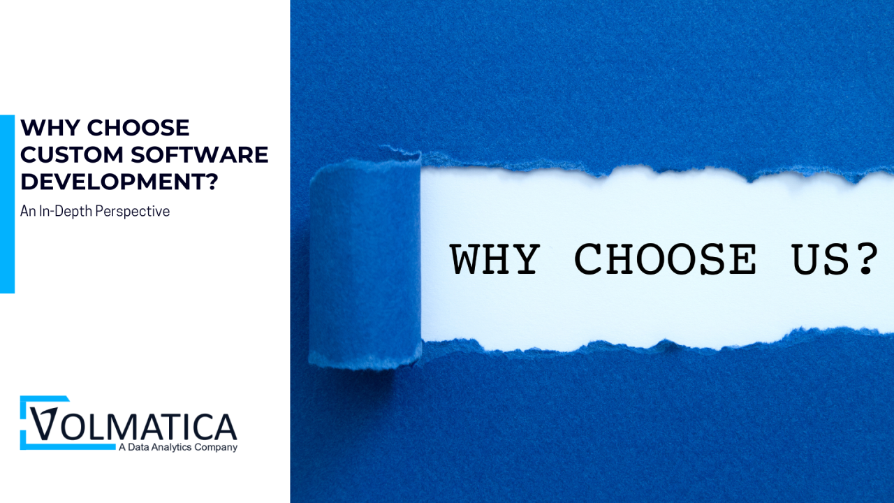 Why Choose Custom Software Development? An In-Depth Perspective Why Choose Custom Software Development? An In-Depth Perspective