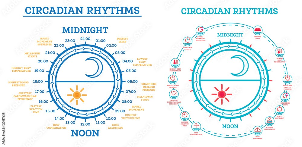 Exploring the Harmony of Your Inner Clock: Nurturing a Healthy ... Exploring the Harmony of Your Inner Clock: Nurturing a Healthy ...