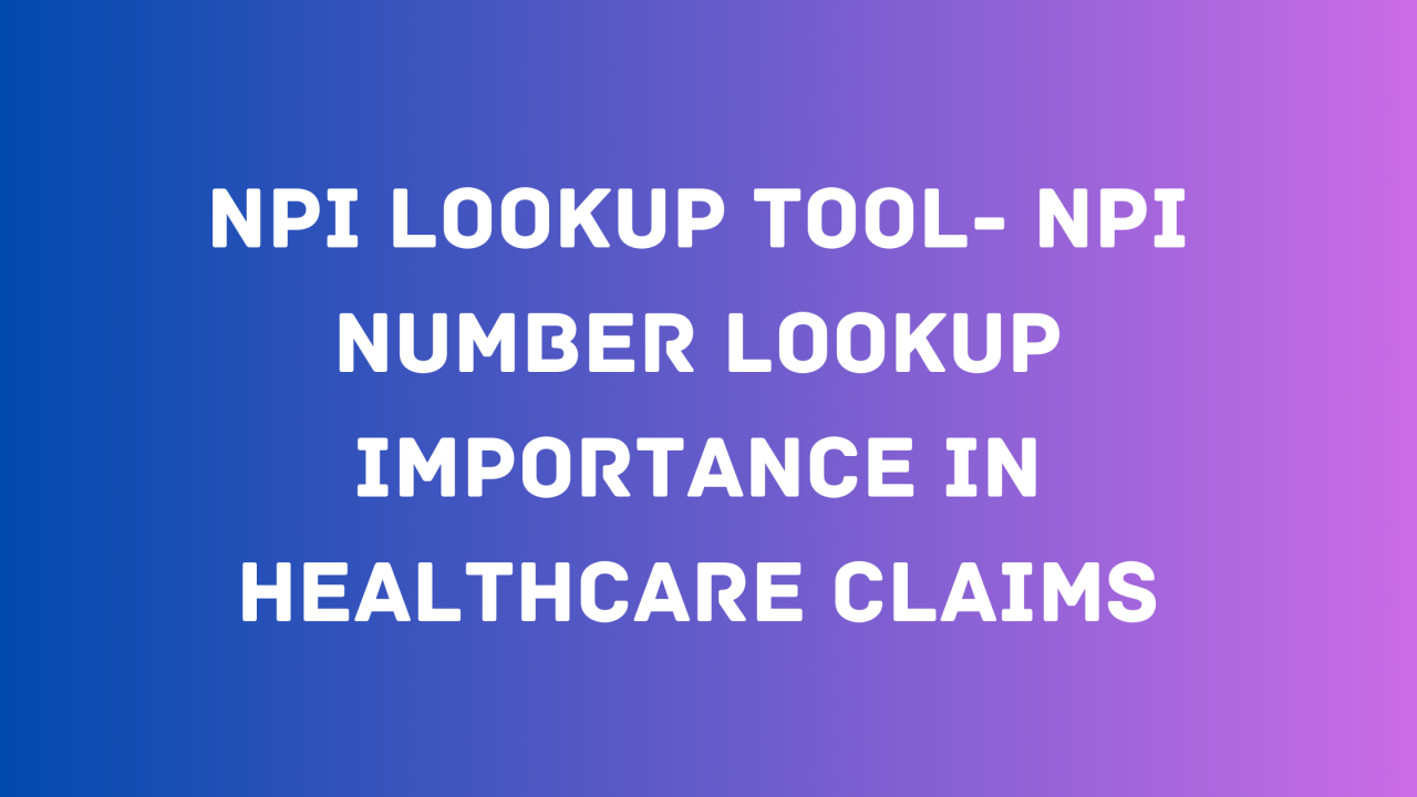 NPI Lookup- Comprehensive Guide to Finding Healthcare Provider Information NPI Lookup- Comprehensive Guide to Finding Healthcare Provider Information