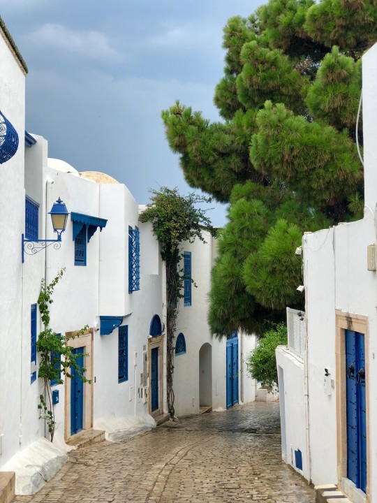 Youssef Mami on LinkedIn: Pourquoi opter pour un séjour en Tunisie au ... Youssef Mami on LinkedIn: Pourquoi opter pour un séjour en Tunisie au ...