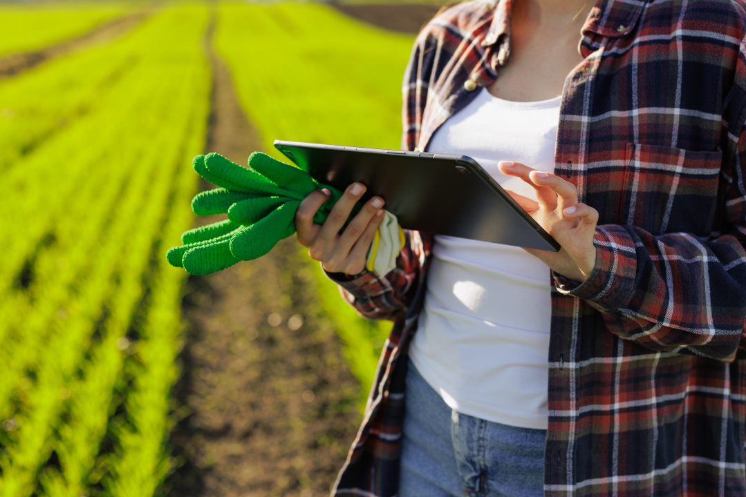 Transforme o Agronegócio com Gestão Lean e Tecnologia Transforme o Agronegócio com Gestão Lean e Tecnologia