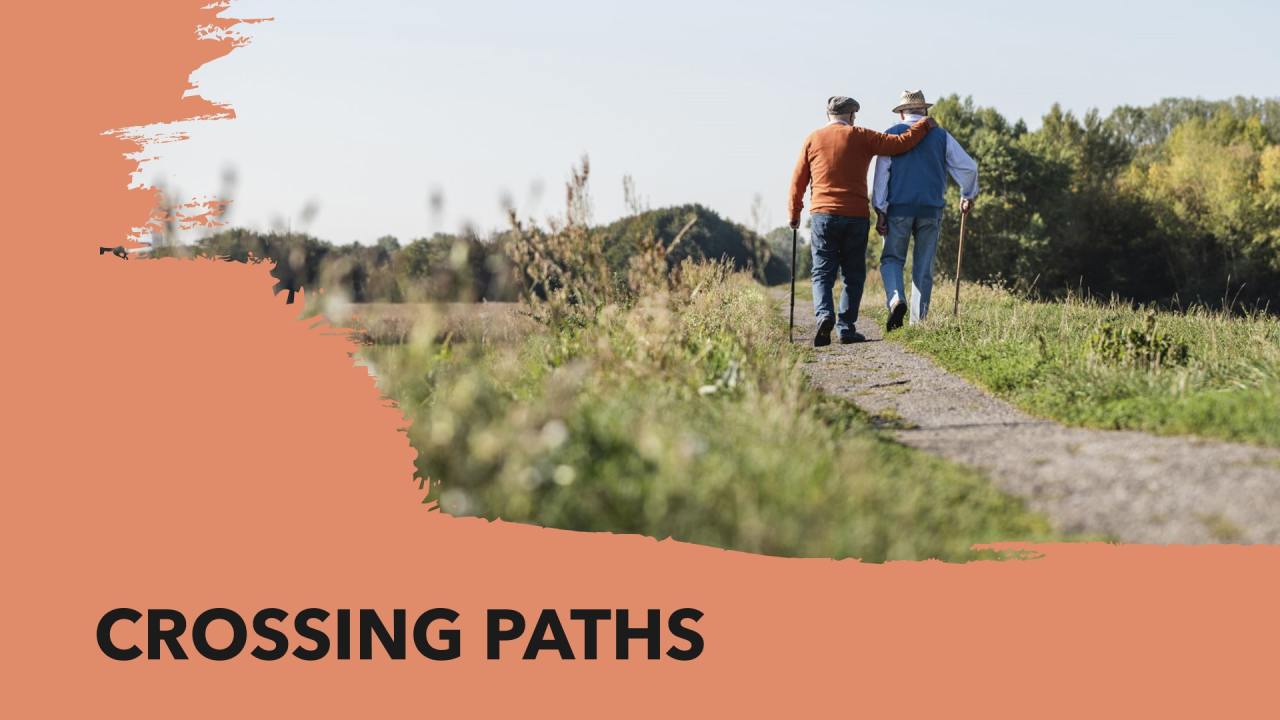 Navigating Life's Crossroads: Making Informed Choices for Personal and ... Navigating Life's Crossroads: Making Informed Choices for Personal and ...