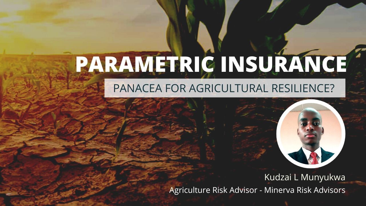 Parametric insurance: The panacea for agricultural resilience? Parametric insurance: The panacea for agricultural resilience?