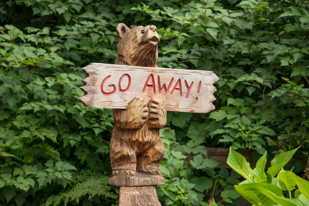 Why that unwanted guest keeps returning… Why that unwanted guest keeps returning…