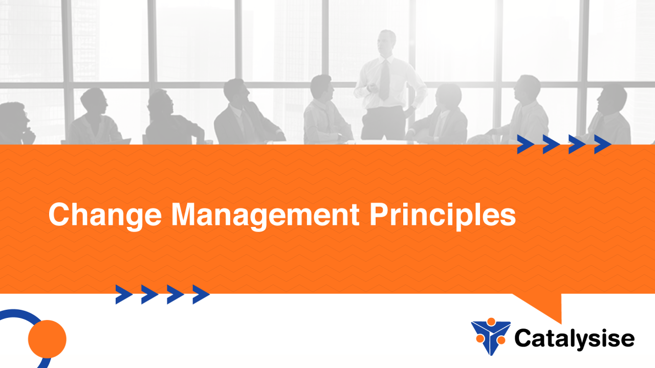 Change Management Principles Change Management Principles
