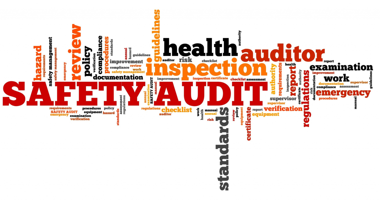 Hodhod: Streamlining Audits for Optimal Efficiency Hodhod: Streamlining Audits for Optimal Efficiency