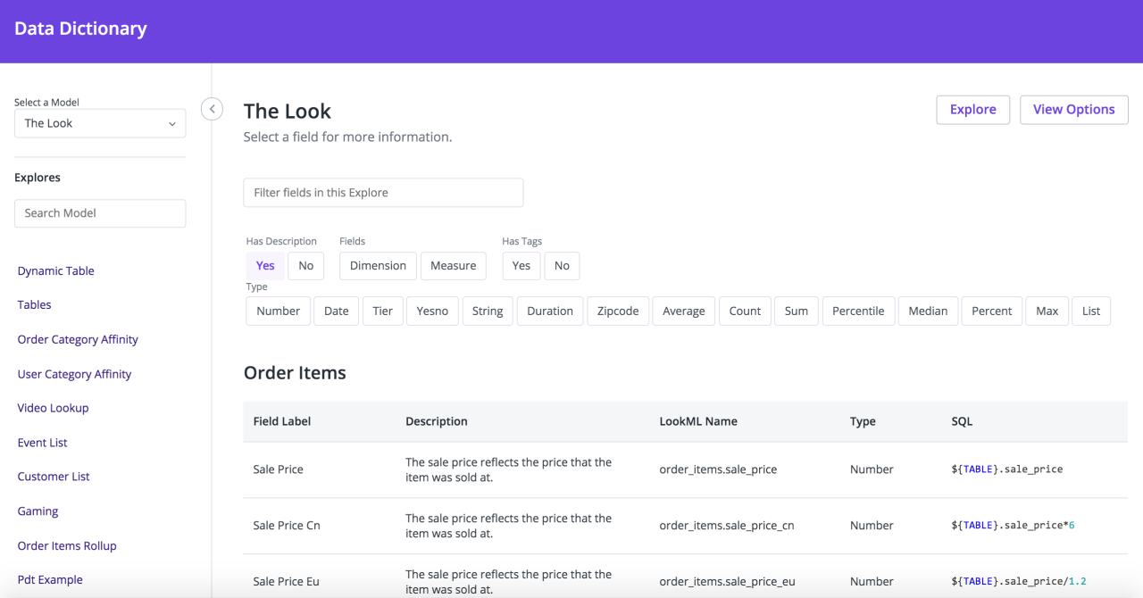 An In-Depth Guide to Looker Data Dictionary: Empowering Data Governance ... An In-Depth Guide to Looker Data Dictionary: Empowering Data Governance ...