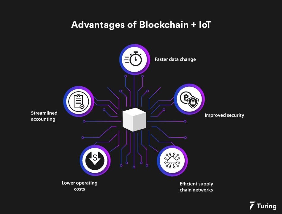The Role of Blockchain in Securing IoT Devices and Networks The Role of Blockchain in Securing IoT Devices and Networks