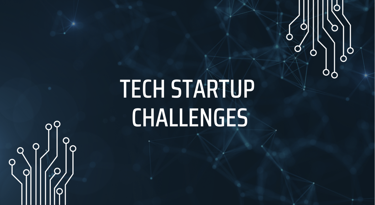 Cost-Effective Strategies for Scaling Tech Startups Cost-Effective Strategies for Scaling Tech Startups