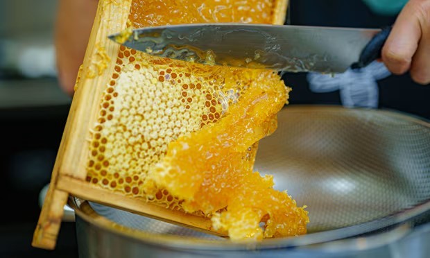 Ensuring Honey Authenticity: A Vital Step Towards Supply Chain Transparency Ensuring Honey Authenticity: A Vital Step Towards Supply Chain Transparency