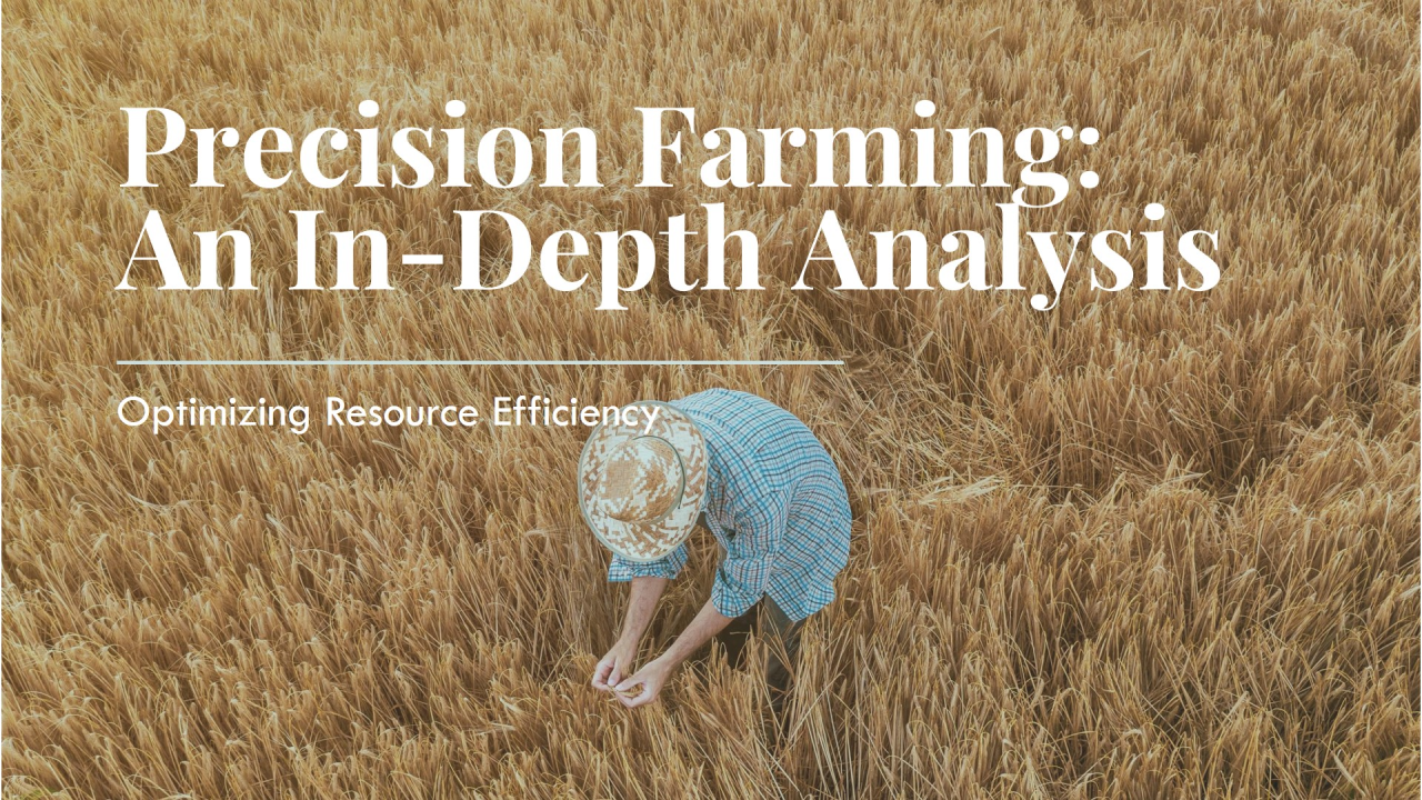 Optimizing Resource Efficiency through Precision Farming: An In-Depth ... Optimizing Resource Efficiency through Precision Farming: An In-Depth ...