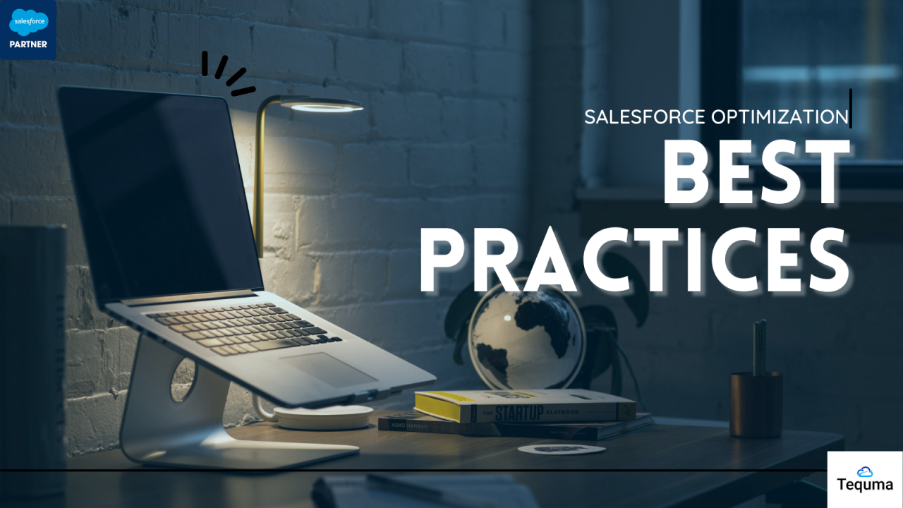 BEST PRACTICES FOR SALESFORCE OPTIMIZATION BEST PRACTICES FOR SALESFORCE OPTIMIZATION