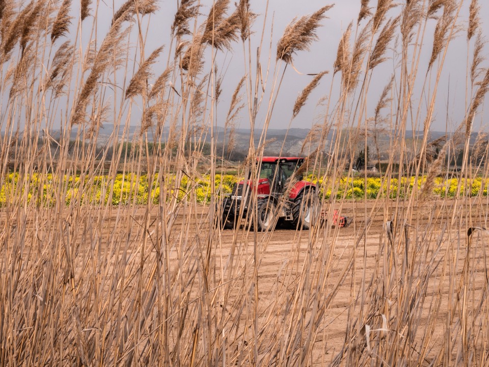 Agriculture and Agribusiness in Africa: Unleashing Potential for ... Agriculture and Agribusiness in Africa: Unleashing Potential for ...