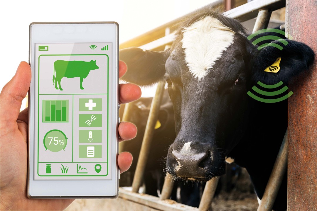 Streamlining the Dairy Supply Chain with Distribution Management Solutions Streamlining the Dairy Supply Chain with Distribution Management Solutions